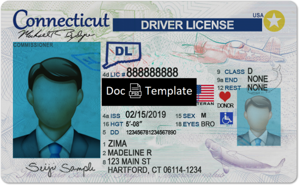US Connecticut Driver License Template PSD - PSD Templates