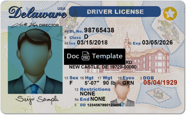 US Delaware Driver License Template PSD - PSD Templates