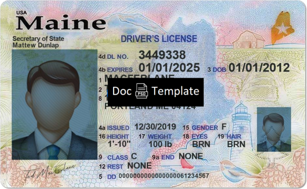 Maine Driver License Template PSD - PSD Templates
