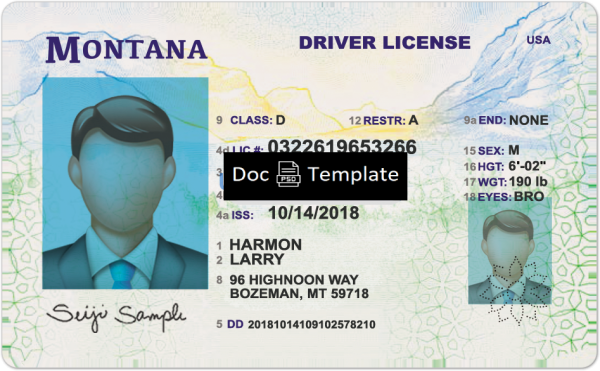 Montana Driver License Template PSD - PSD Templates